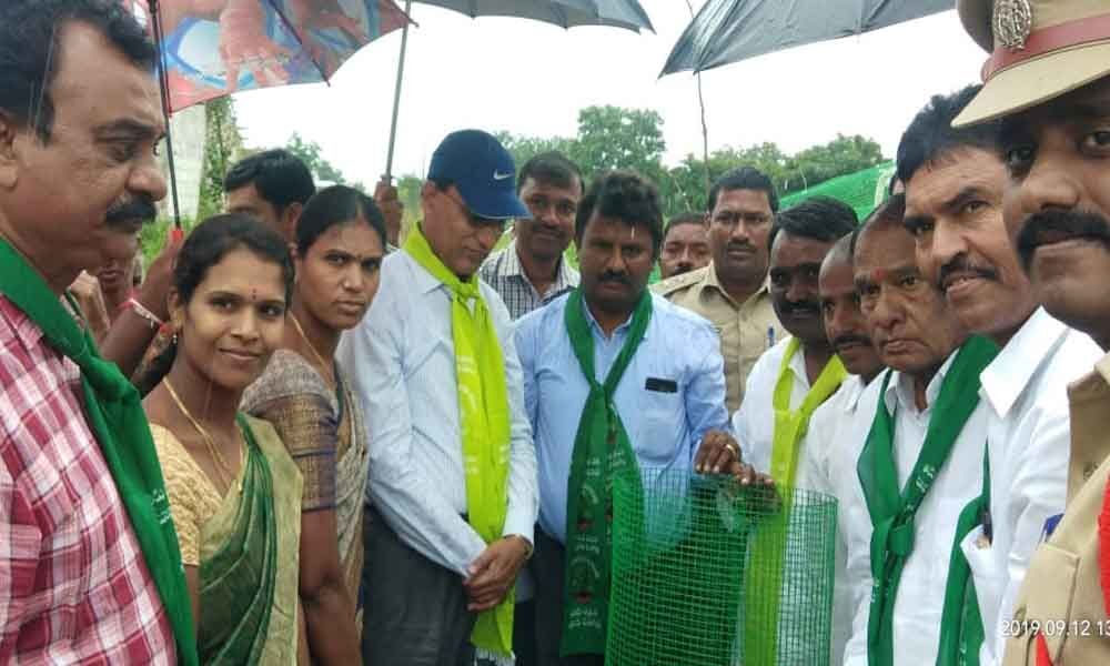 Haritha Haram conducted at Shivampet