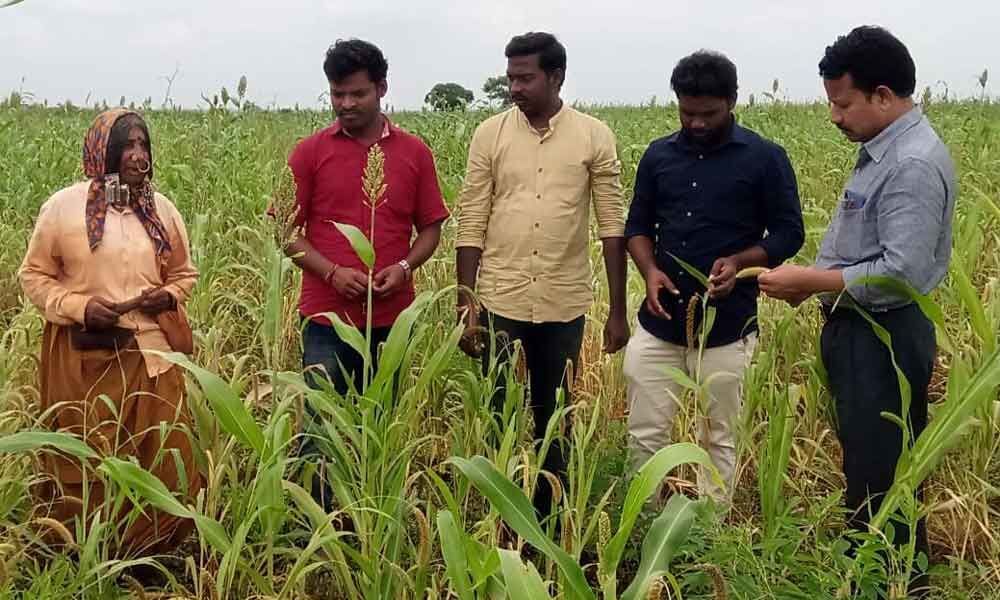 Farmers briefed on ways to fend off birds