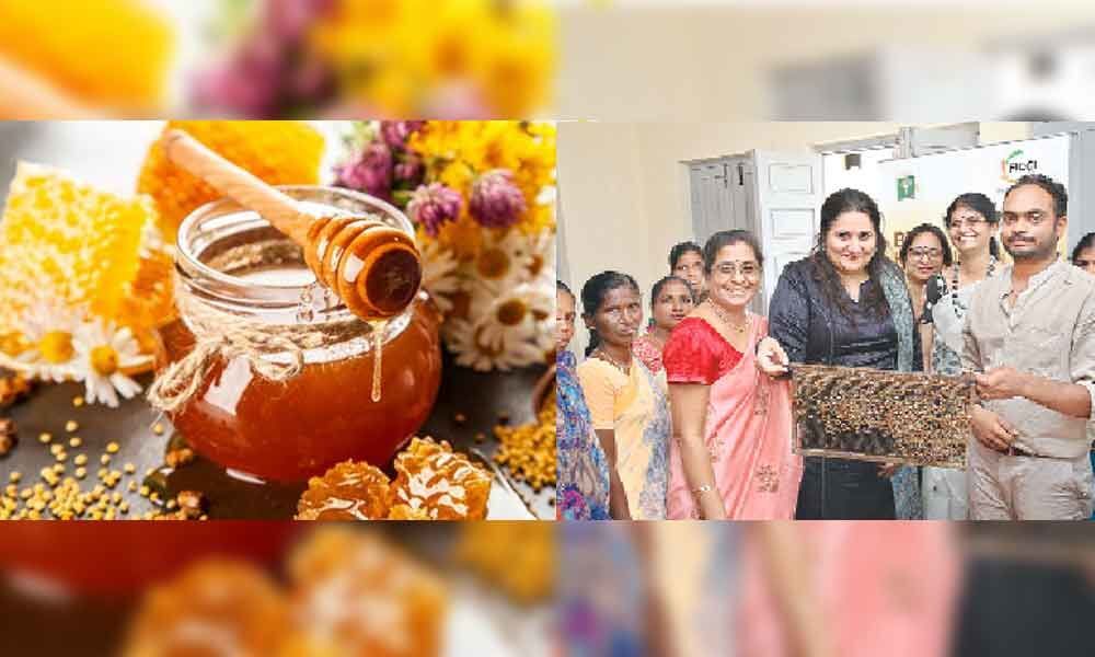 Skilling the women in bee keeping