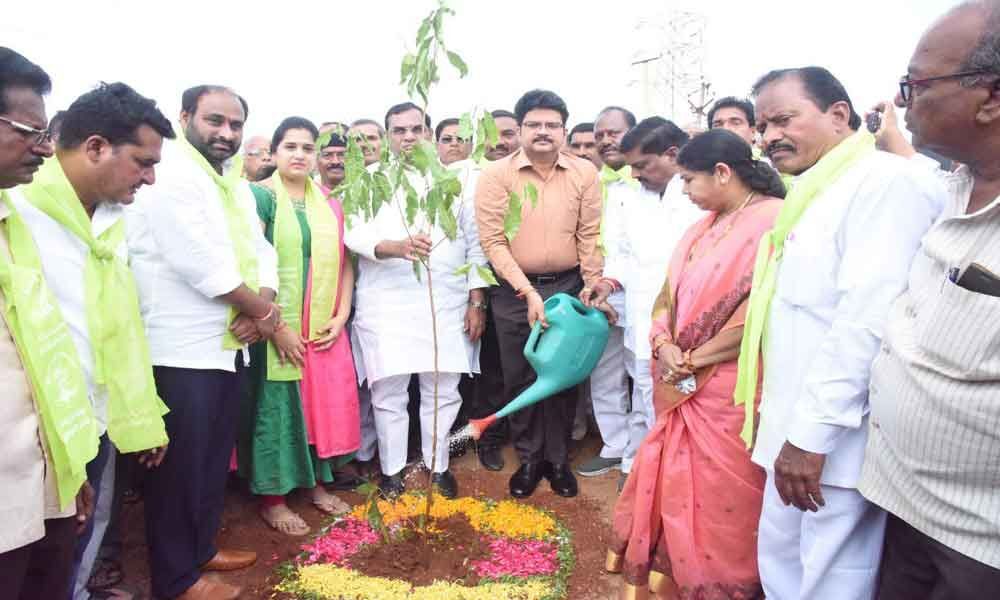 People told to take up Haritha Haaram