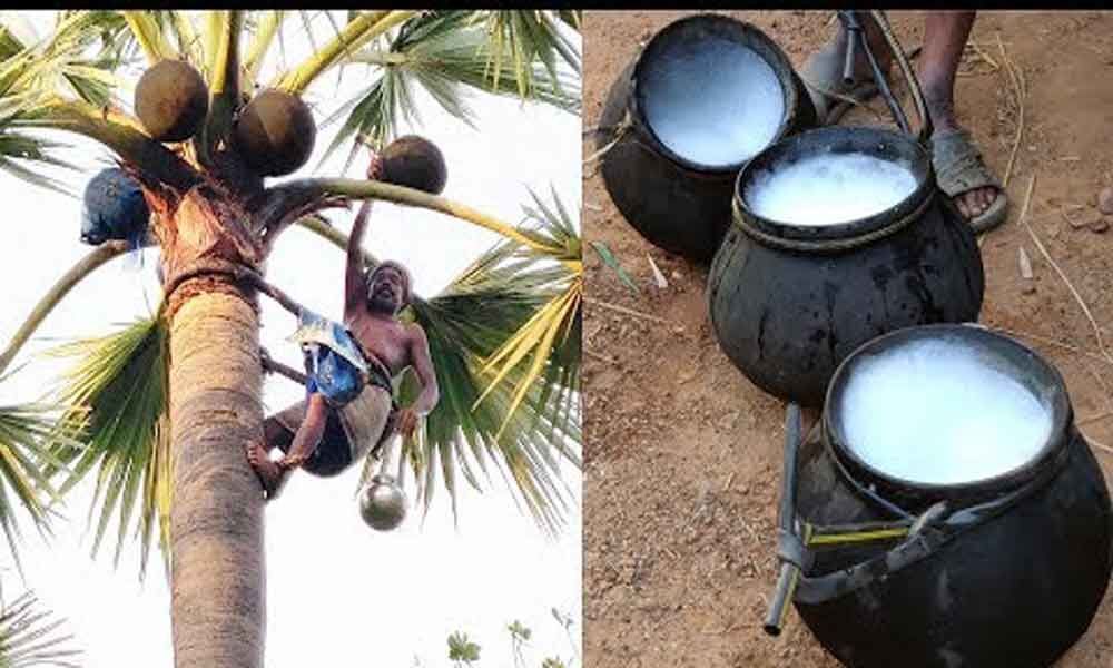 Beware, Neera may give nasha, warns Forum for Good Governance