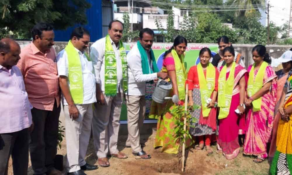 Nizamabad Urban Development Authority chairman accepts green challenge