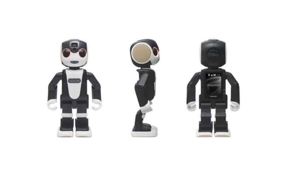 This pocket-sized robot cleans walls in a jiffy