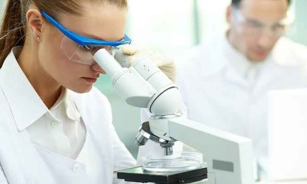 How the body freezes in response to threat decoded