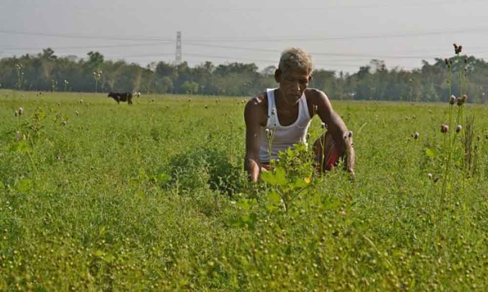 Tirupati: Settipalli farmers wait to get ownership rights for two decades