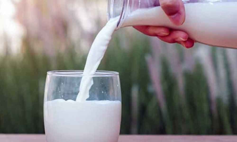 On The Boil: After onions, now milk set to turn dearer