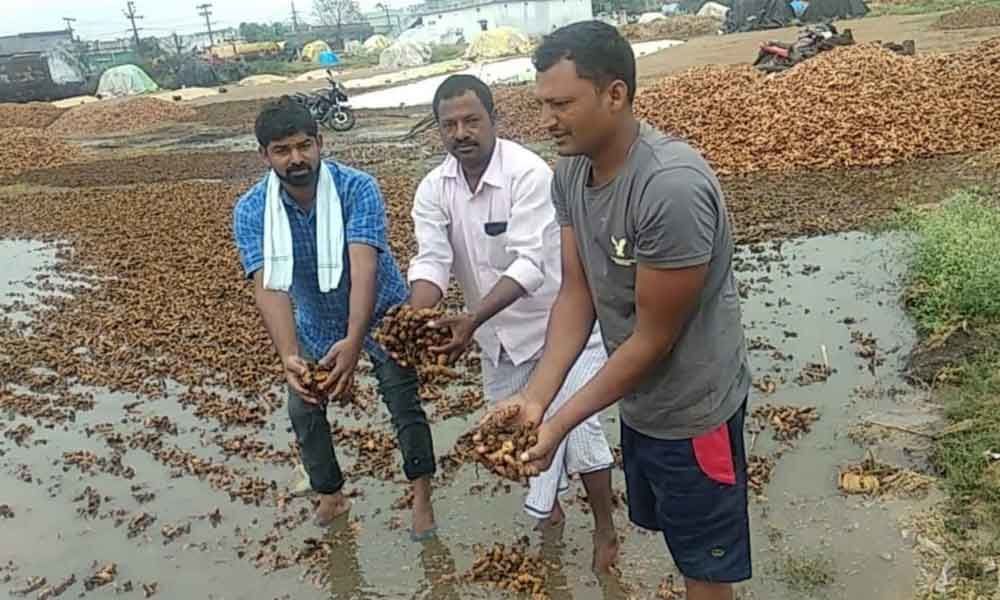 Unseasonal rain damages turmeric crop in Nizamabad