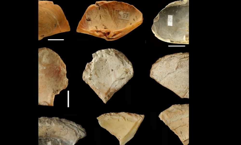 Neanderthals went diving to find shells from the sea floor: Study