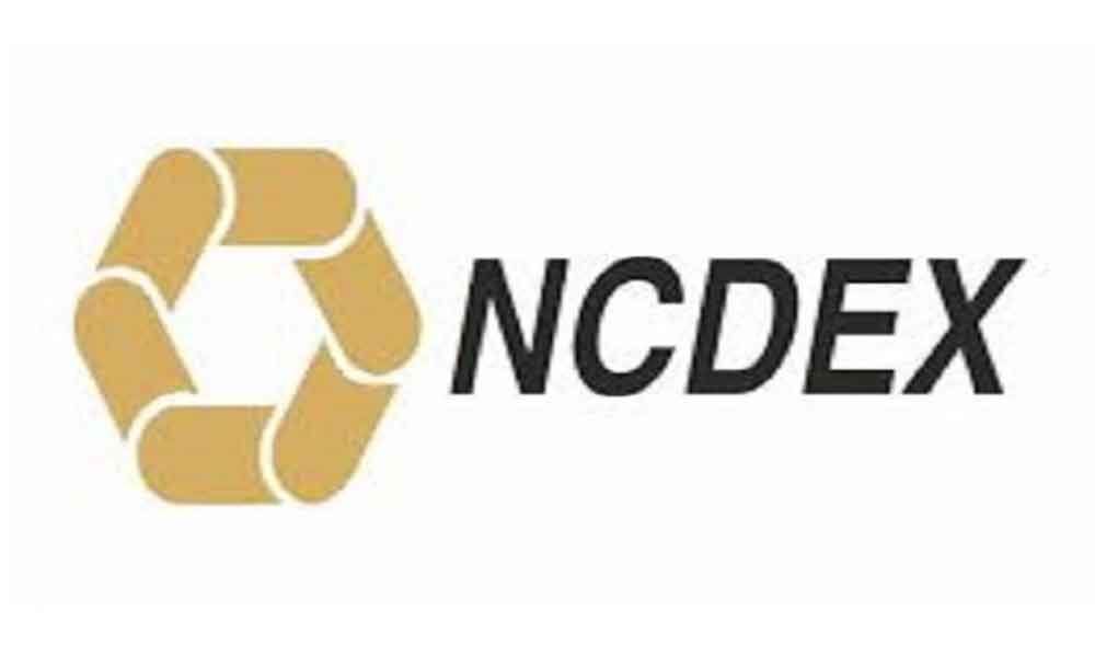 NCDEX files for IPO