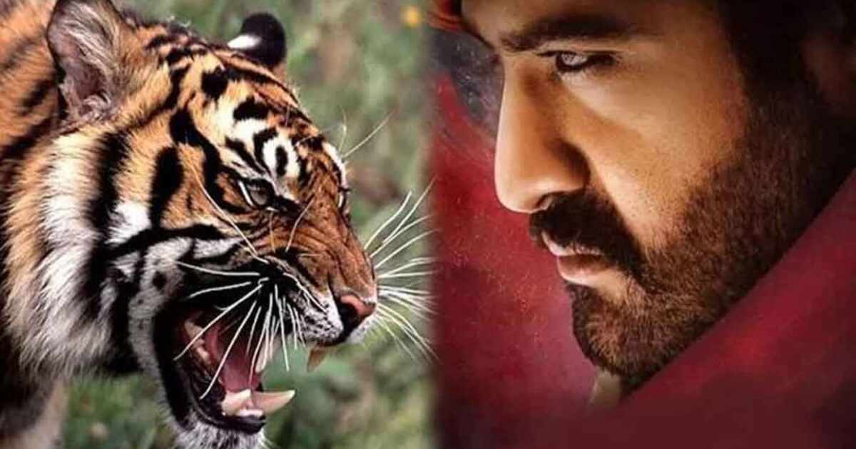 Jr NTR's Fight with Real Tiger in RRR?