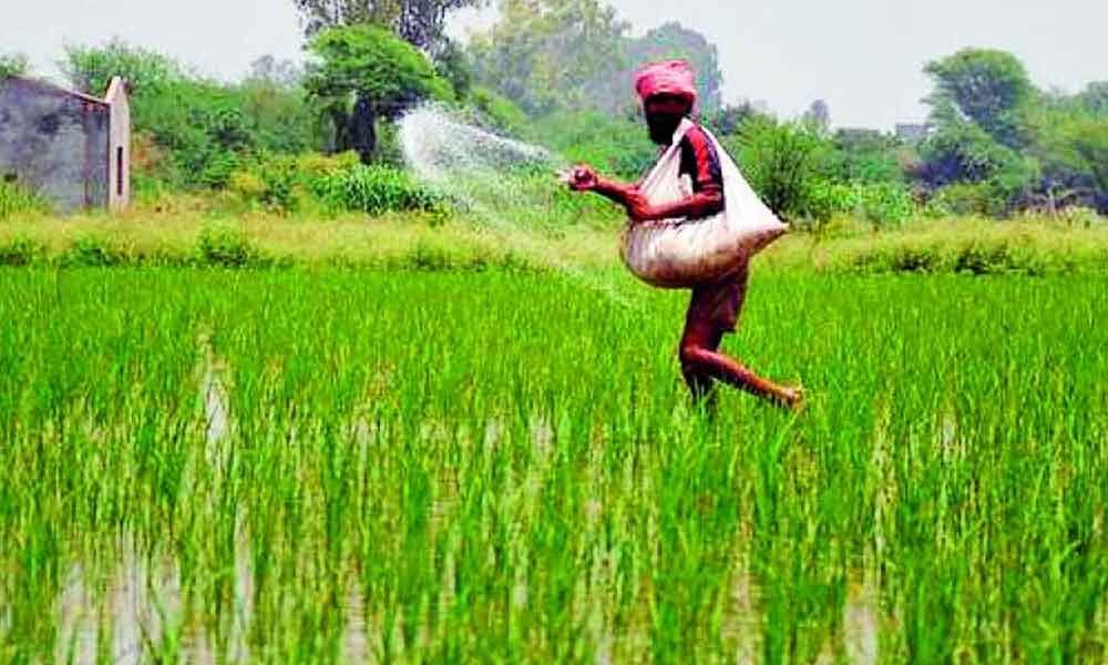 Relief for farmers : Cabinet nod for making crop insurance voluntary