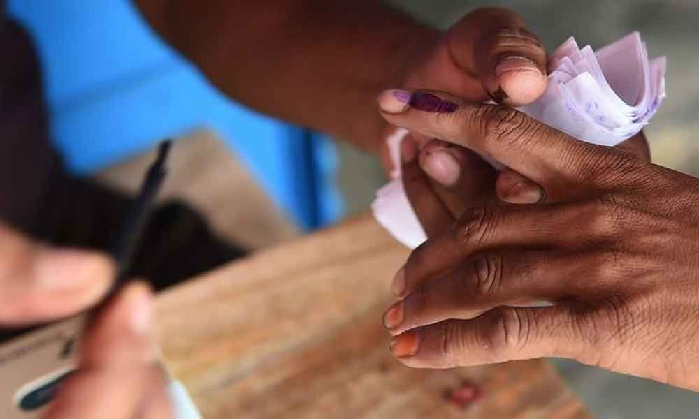 Ruling party set to select 'real local' leaders as its nominees