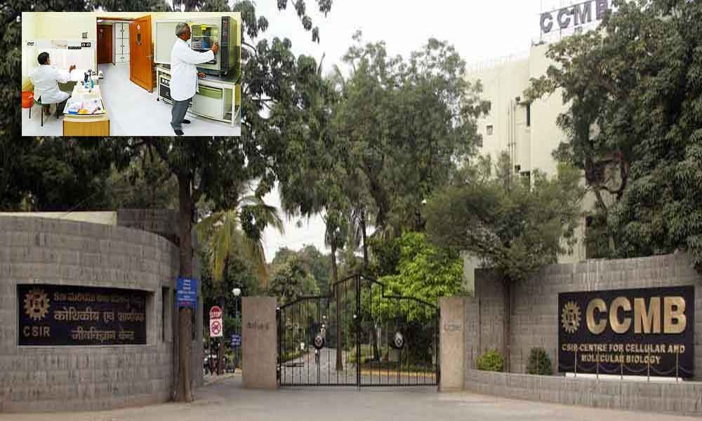 CM KCR raises pitch for using CCMB lab for virus tests