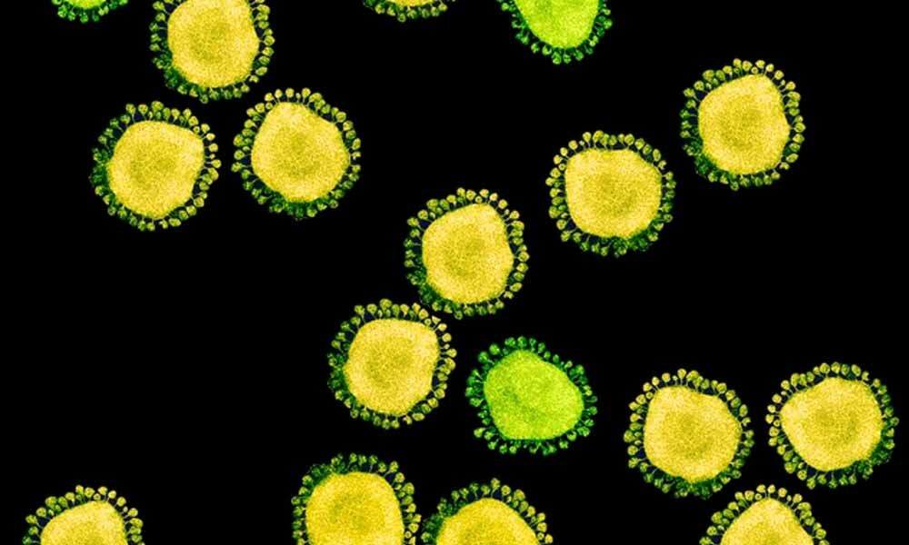 Here Is The Success Story Of A Corona Affected Family