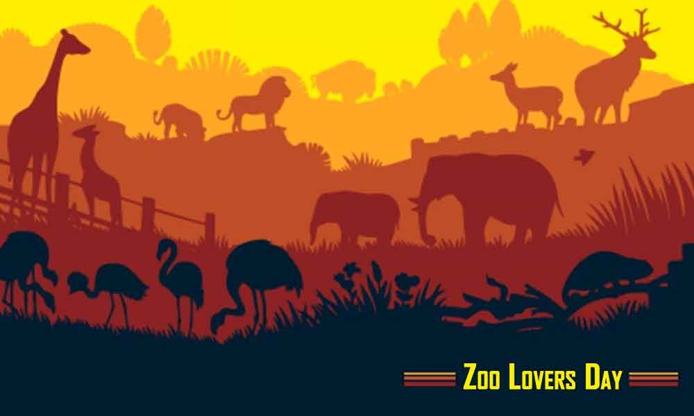 Zoo Lovers Day