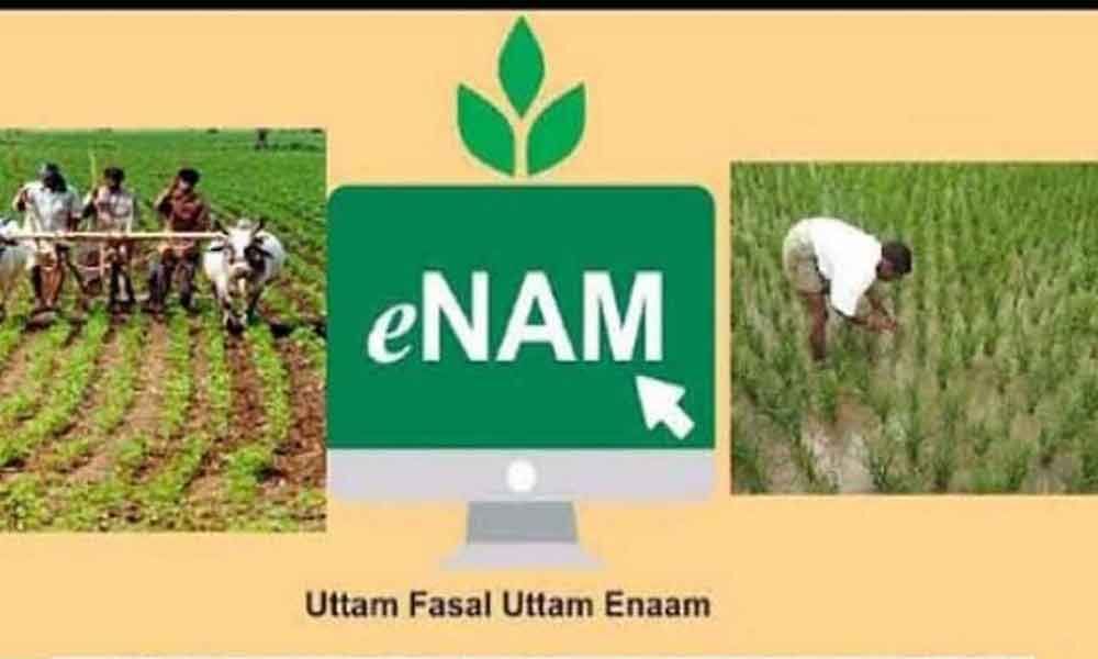 e-NAM rolls out new steps to help ease farmers' woes