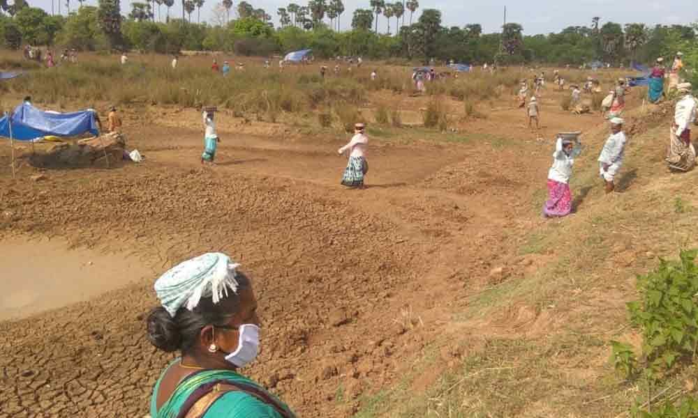 NREGA works resumed in Vizianagaram district