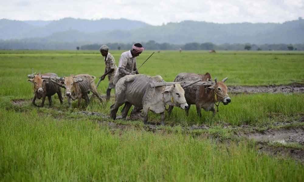 IMD includes PoK areas in its weather forecast