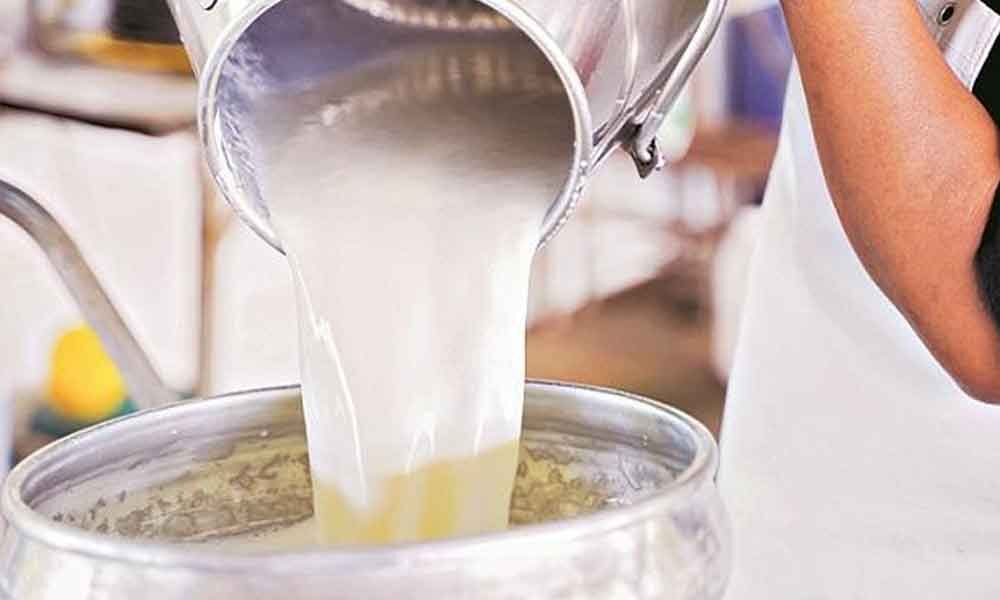 How India utilising surplus milk during the lockdown