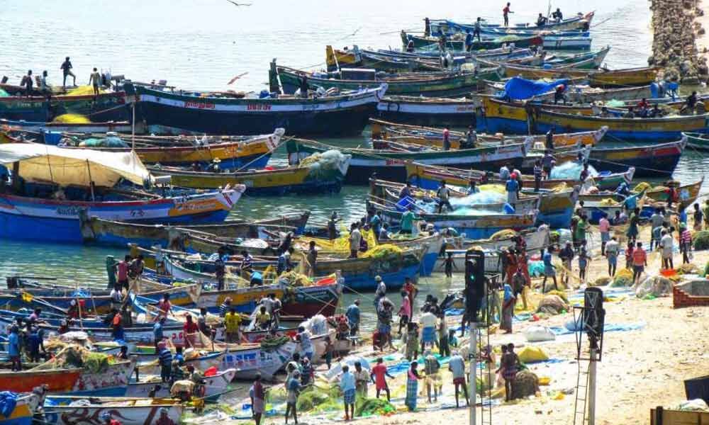 Nellore: Tenders invited for fish landing centre