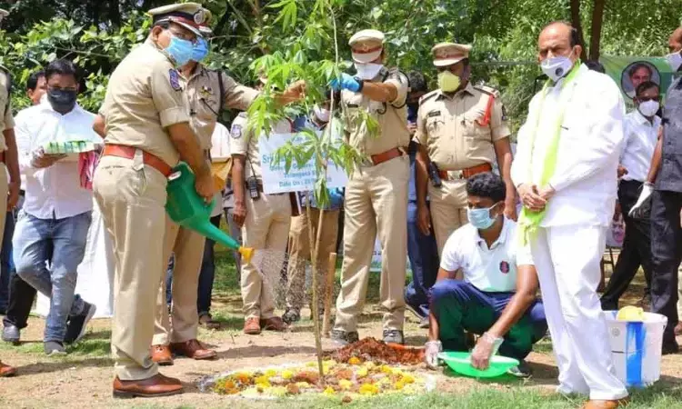 Home Minister Mohd Mahmood Ali participating in the Haritha Haram programme
