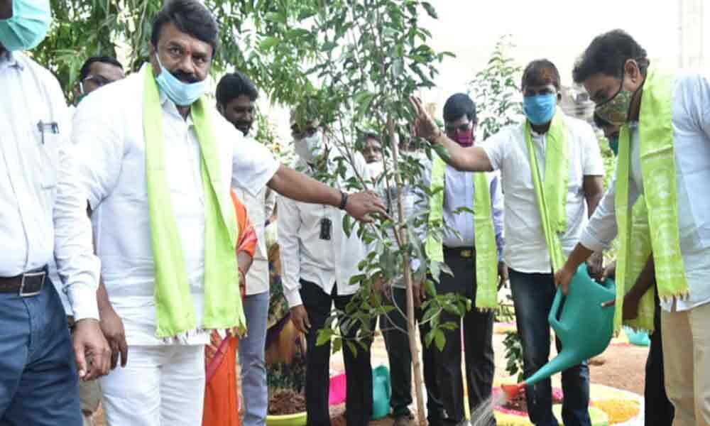 KTR launches sixth phase of Haritha Haram in Hyderabad