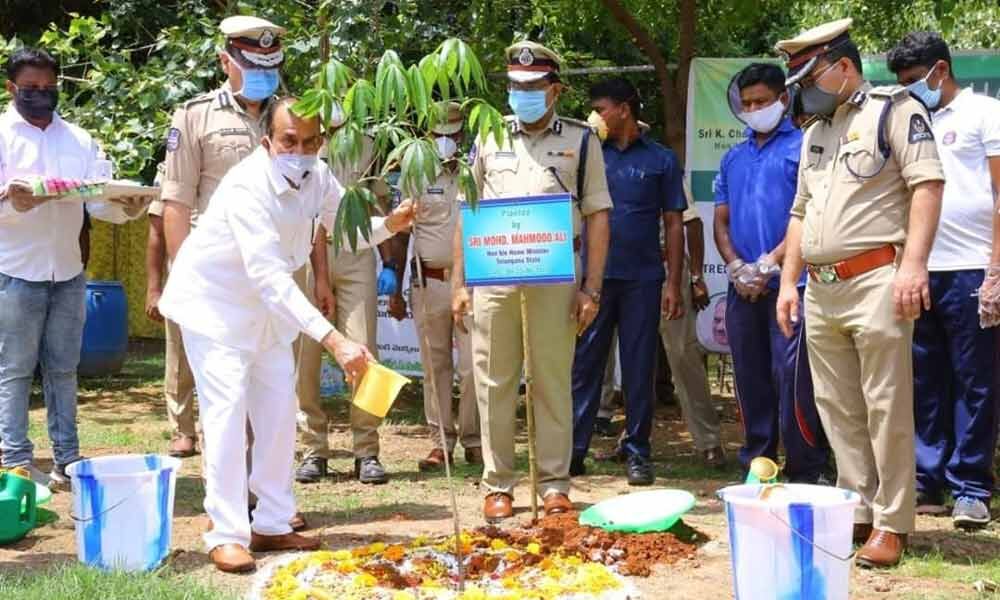 Home Minister Mohd Mahmood Ali participating in the Haritha Haram programme