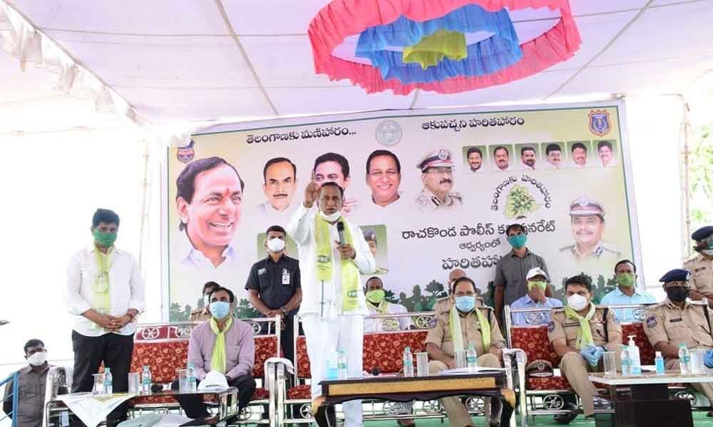 Labour Minister CH Malla Reddy launches Haritha Haram