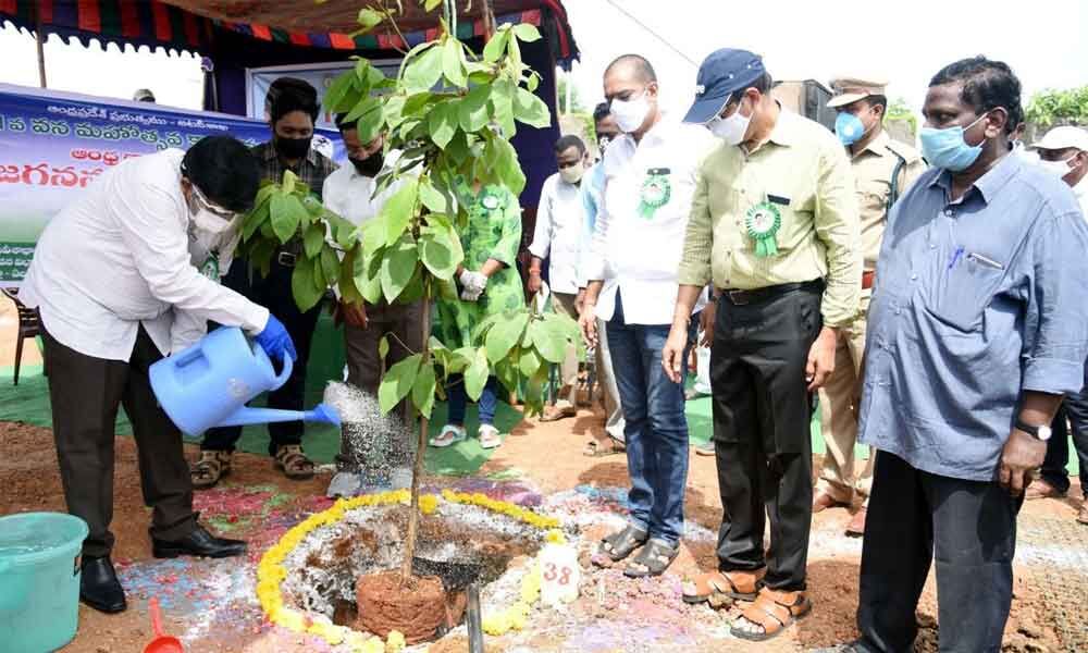 Eluru: Collector R Muthyala Raju called to protect every sapling to ...