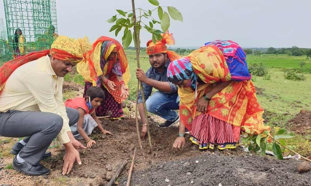 Hyderabad: Green India Challenge reaches Tribal people