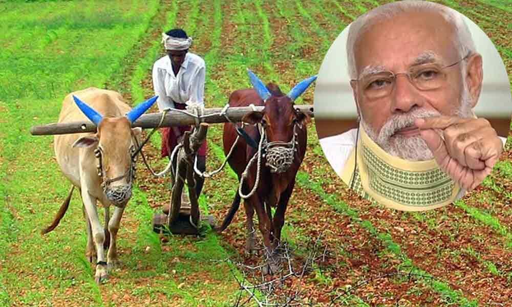 PM Modi lauds India's farmers for higher crop production amid Coronavirus