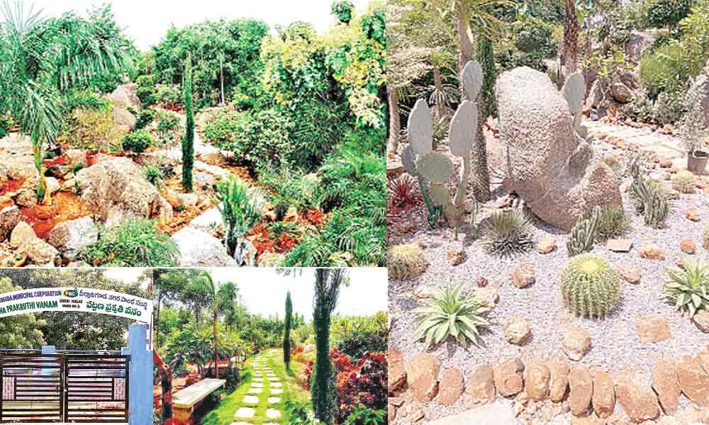 Lush green spaces to dot Peerzadiguda: 52 parks on the anvil