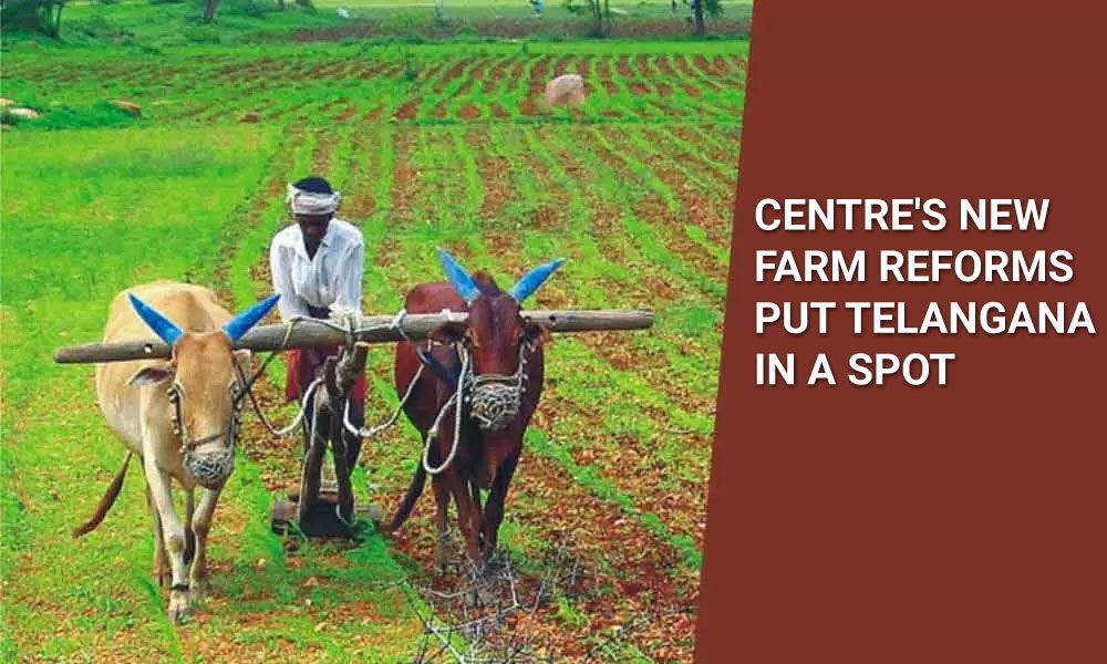 Centre's new farm reforms put Telangana in a spot