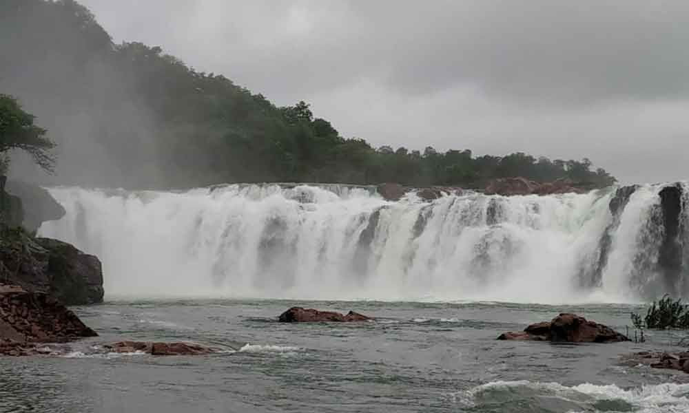 Mulugu: Bogatha falls to open for visitors from Oct 1