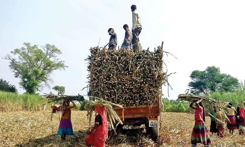 Divert farmers to high-value crops