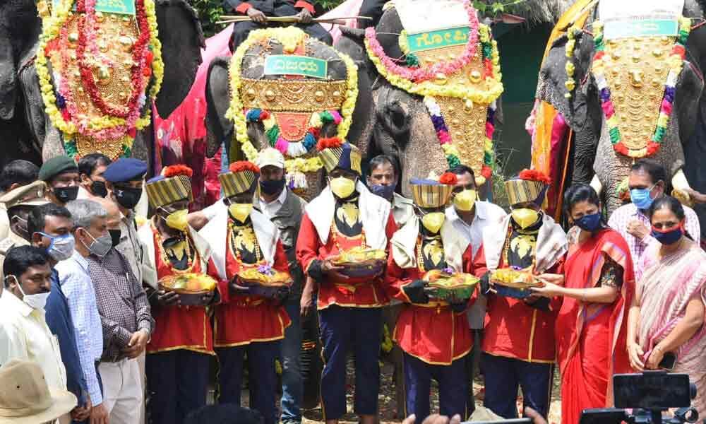 Dasara pachyderms begin their journey from forest after "Gajapayana ...