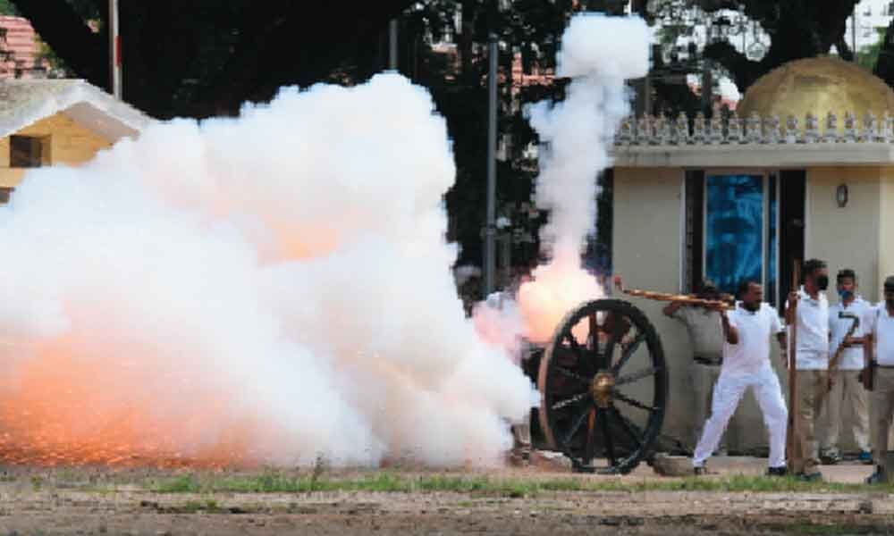 Elephants familiarised with cannon shots