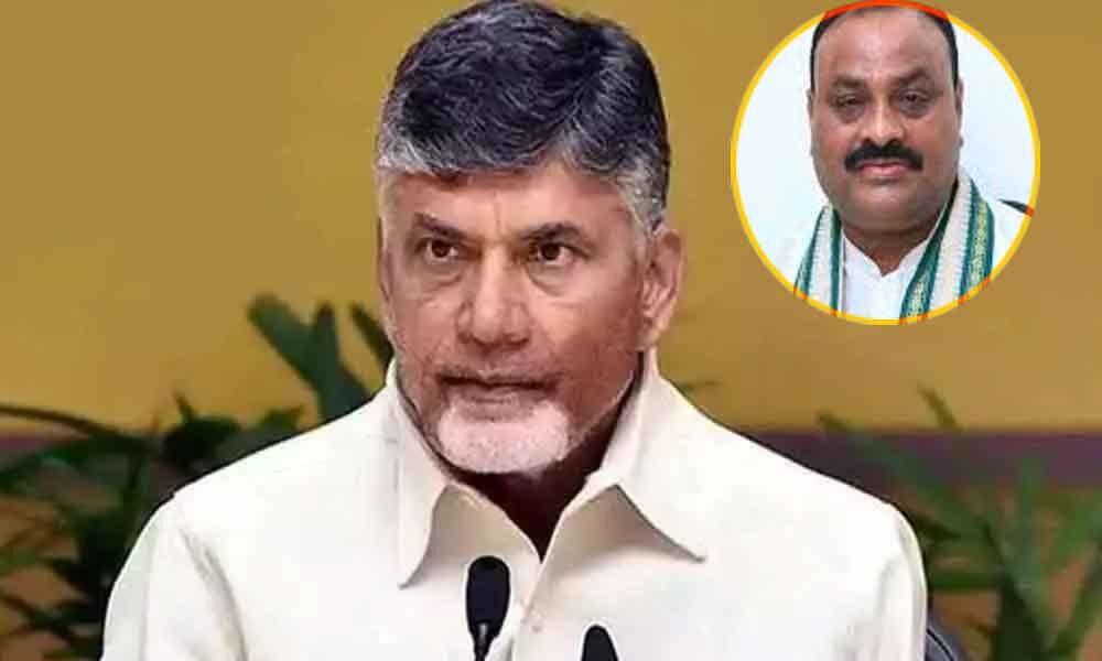 Chandrababu Naidu announces party committees, MLA Atchannaidu appointed as AP TDP president