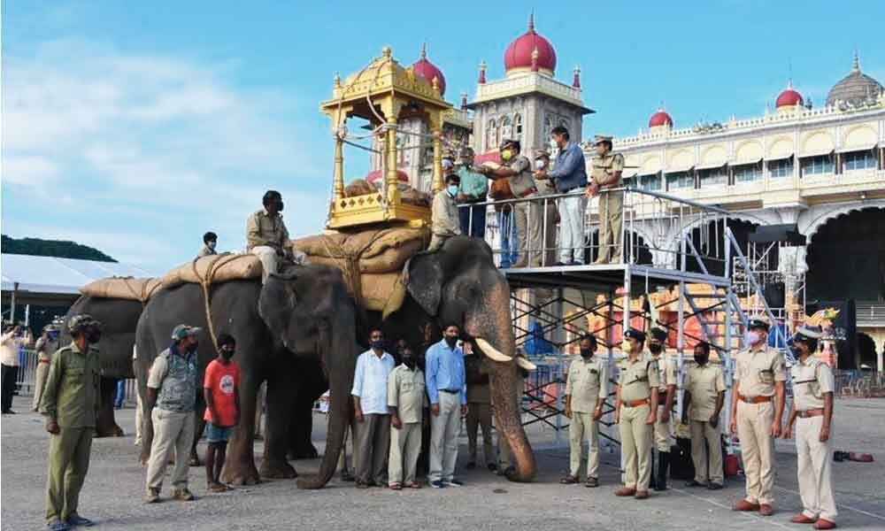 All set for jumbo savari procession