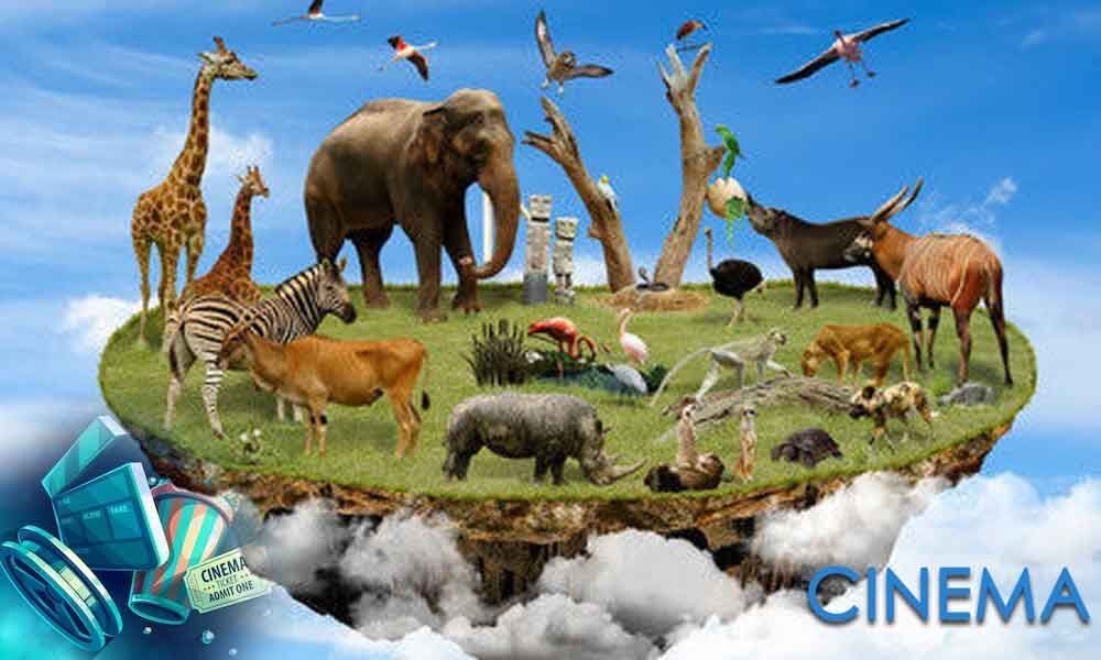 New Rules To Use Animals In Movies, Permission Will Cost Filmmakers A ...