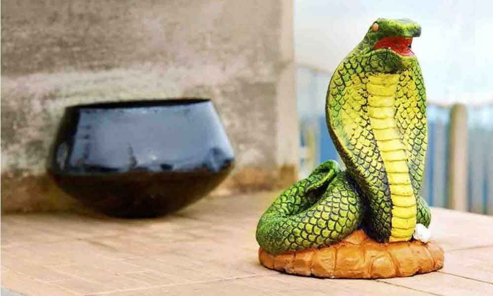 Encountering a snake at home