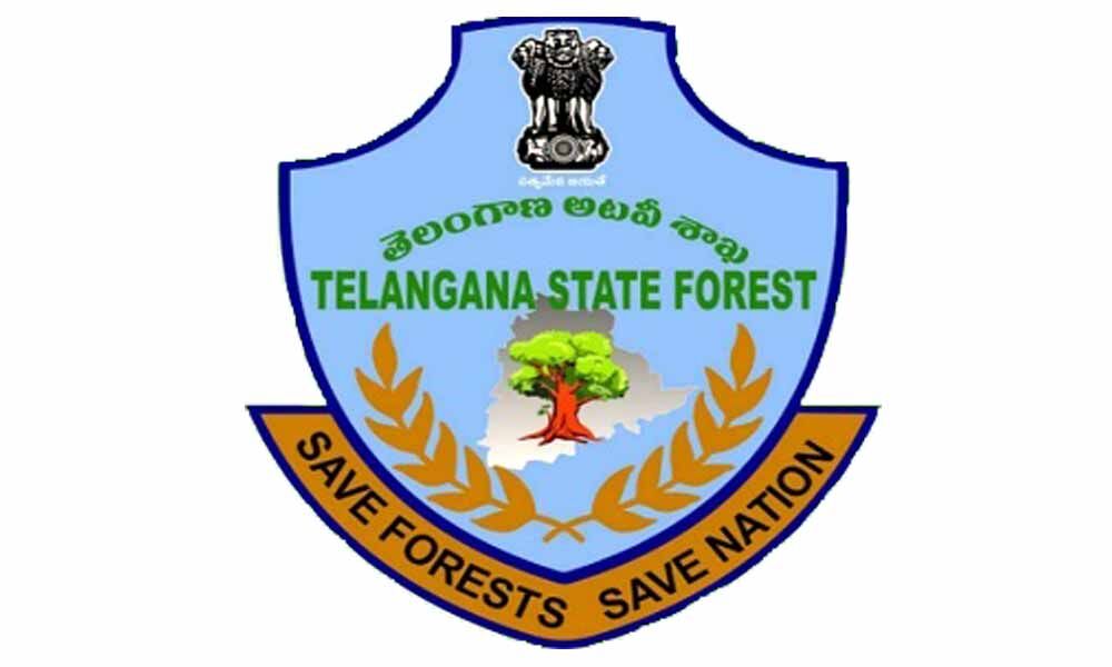 A FewSenior Officials Of The Forest Department (IFS) Get Transferred