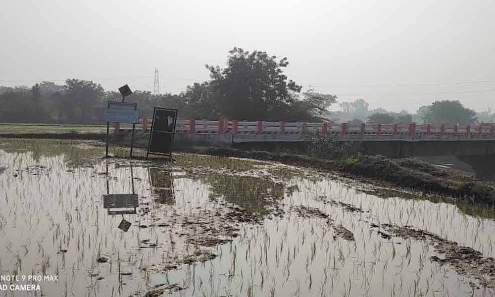 Kothagudem: Without approach road, bridge remains useless