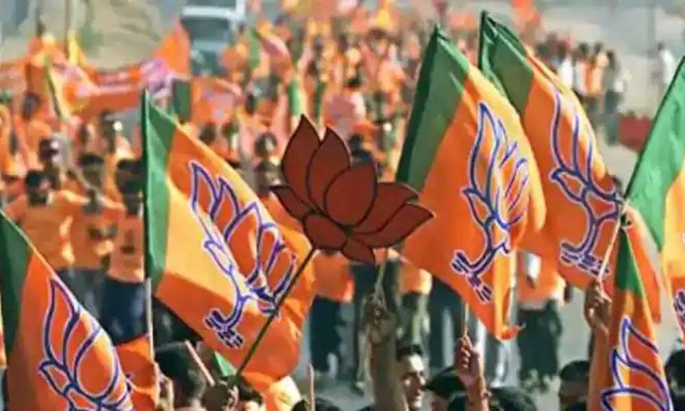 No light at end of tunnel for BJP in AP