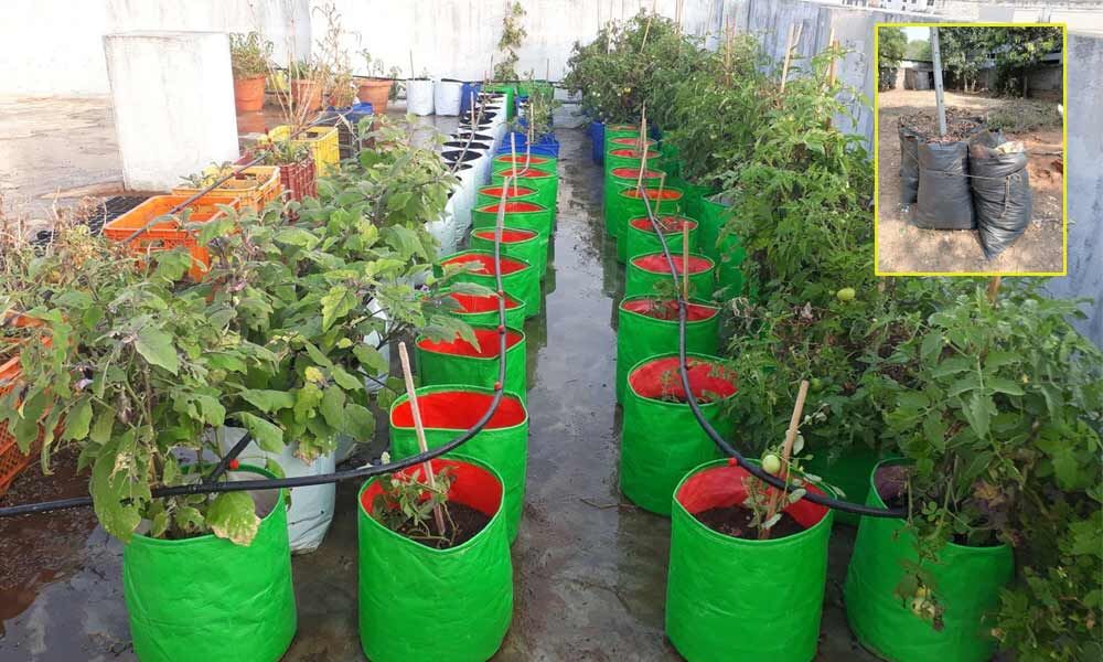 50% of Hyderabad city garbage is compostable: Experts