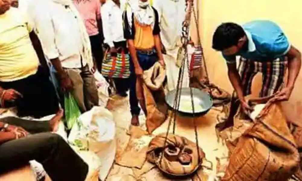 Andhra Pradesh: Poor to get 5-kg rice for two months