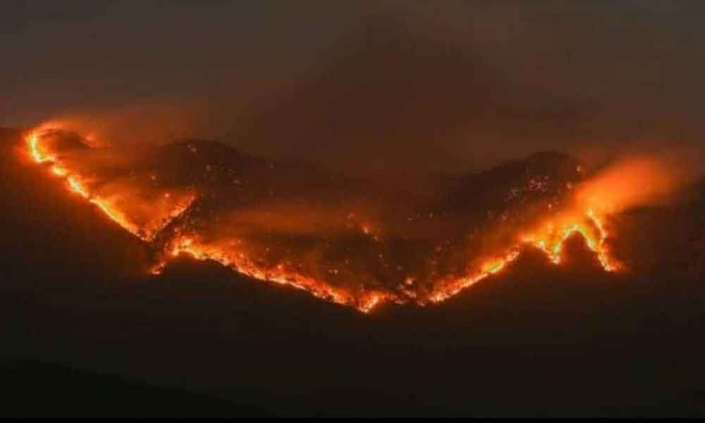 Australia-type bushfire ravages Mizoram's southern dists