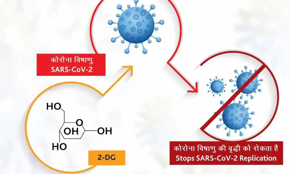 DRDO's 2DG Drug: Here is all you need to know about the anti covid-19 drug