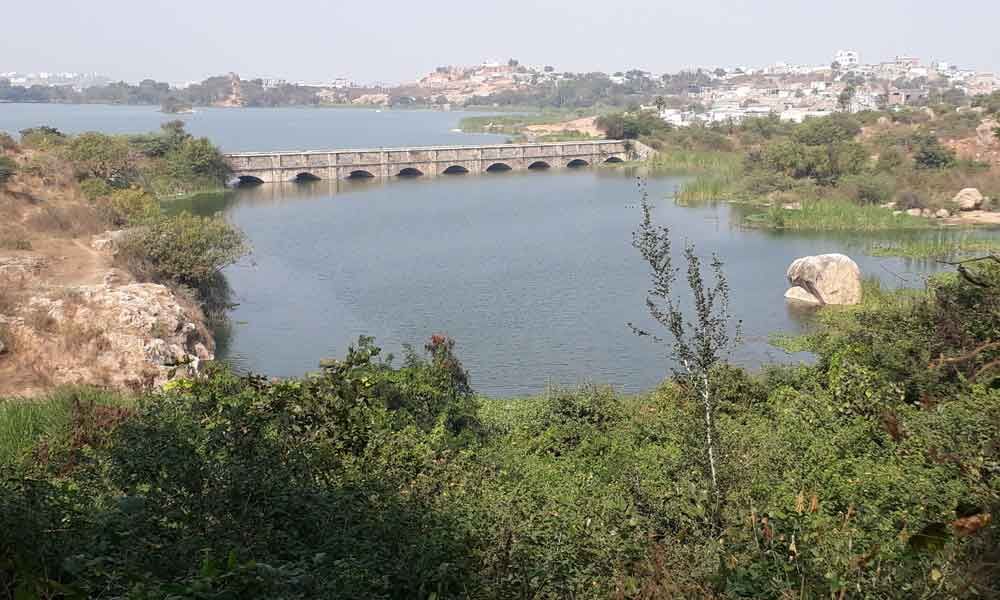Hyderabad: Jalpally Lake proposed rock garden project put on ...