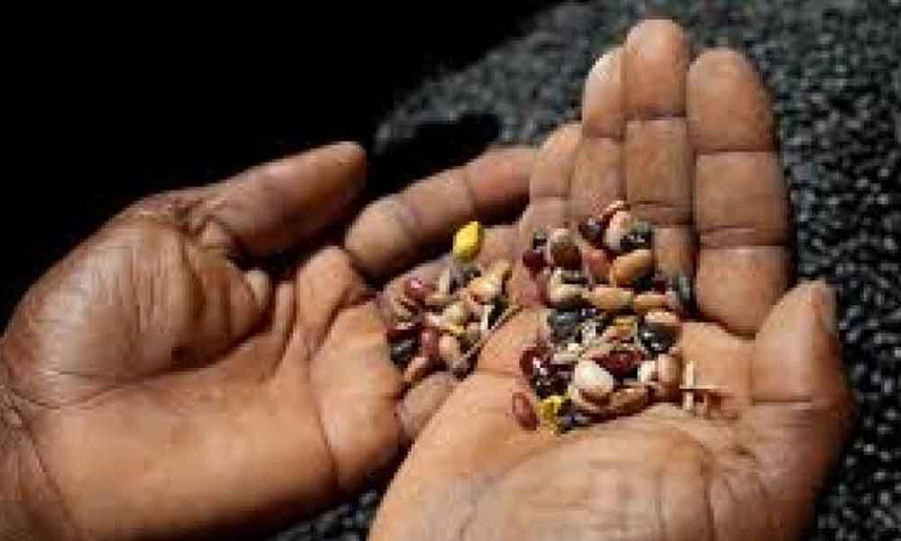 Mancherial: PD Act will be invoked on fake seeds sellers